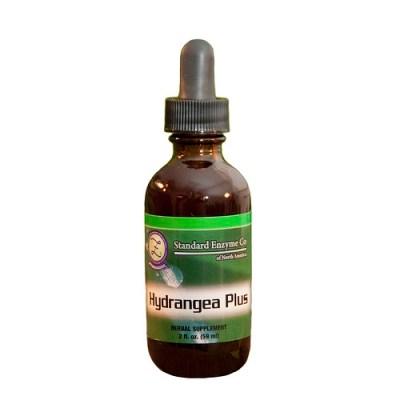 Hydrangea Plus – Thrive With Wellness PMA